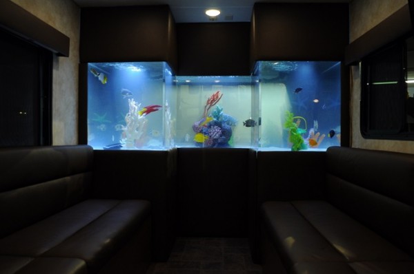 Tanked returns with a splash on Animal Planet | Inquirer Entertainment