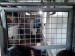 Deniece Cornejo languishes at cramped CIDG detention cell until May 11 ...