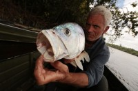 ‘River Monsters’ on Discovery Channel | Inquirer Entertainment