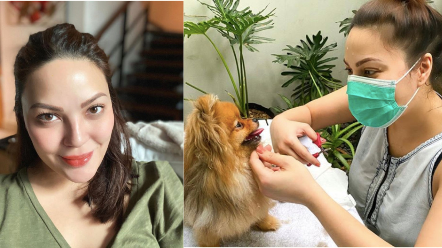 LOOK: KC Concepcion gives her dog a 'haircut' while in quarantine ...