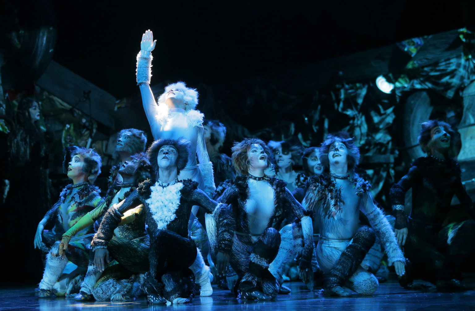 ‘Cats’ musical to stream online for free for 48 hours this week ...