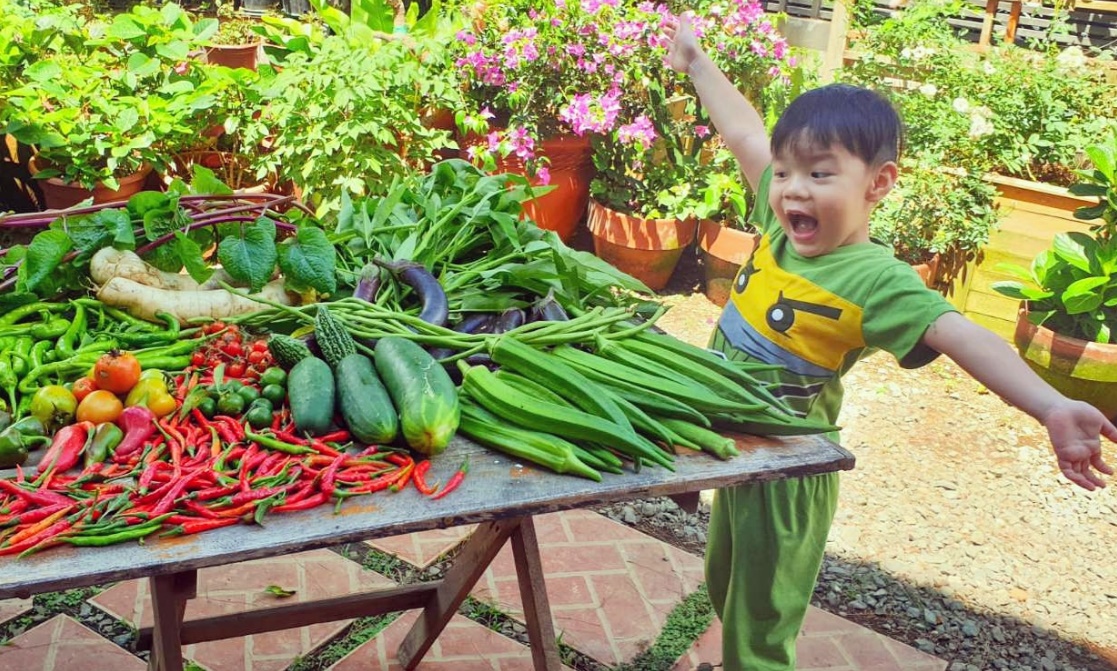 LOOK: Chito Miranda's harvest from Neri’s vegetable garden | Inquirer ...