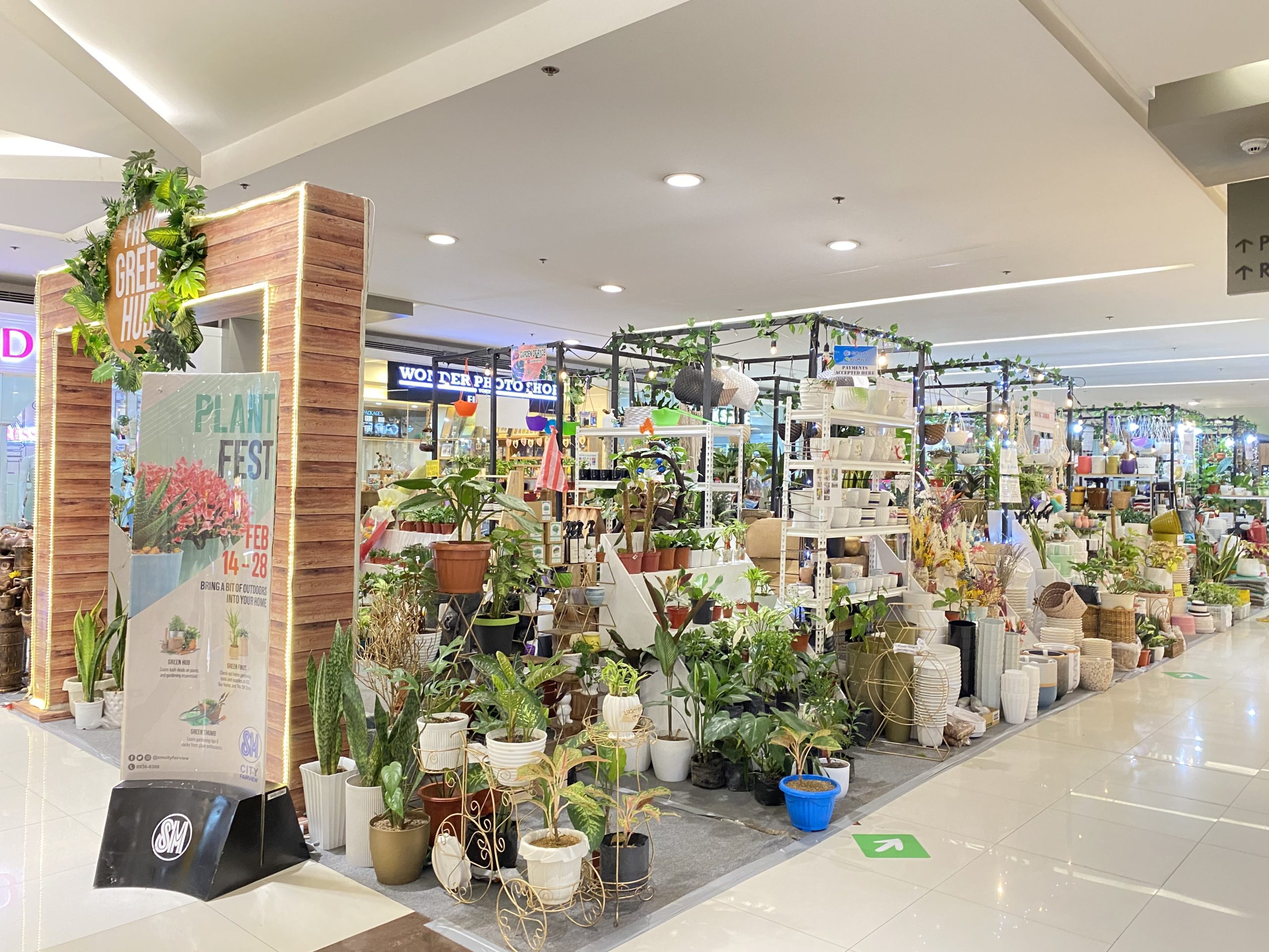 Calling all Plantitos and Plantitas! Celebrate #PlantFestAtSM ...