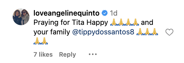 Tippy dos Santos' parents meet vehicular accident in South Korea