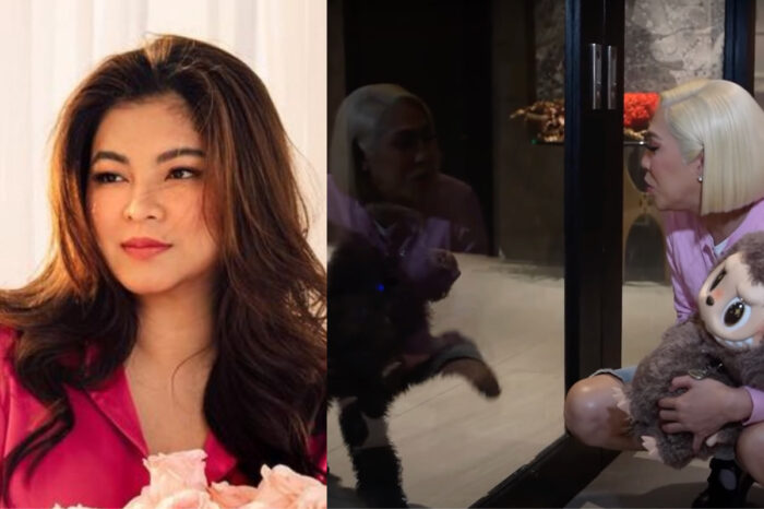 Angel Locsin gifts Vice Ganda with dog after his pet’s death