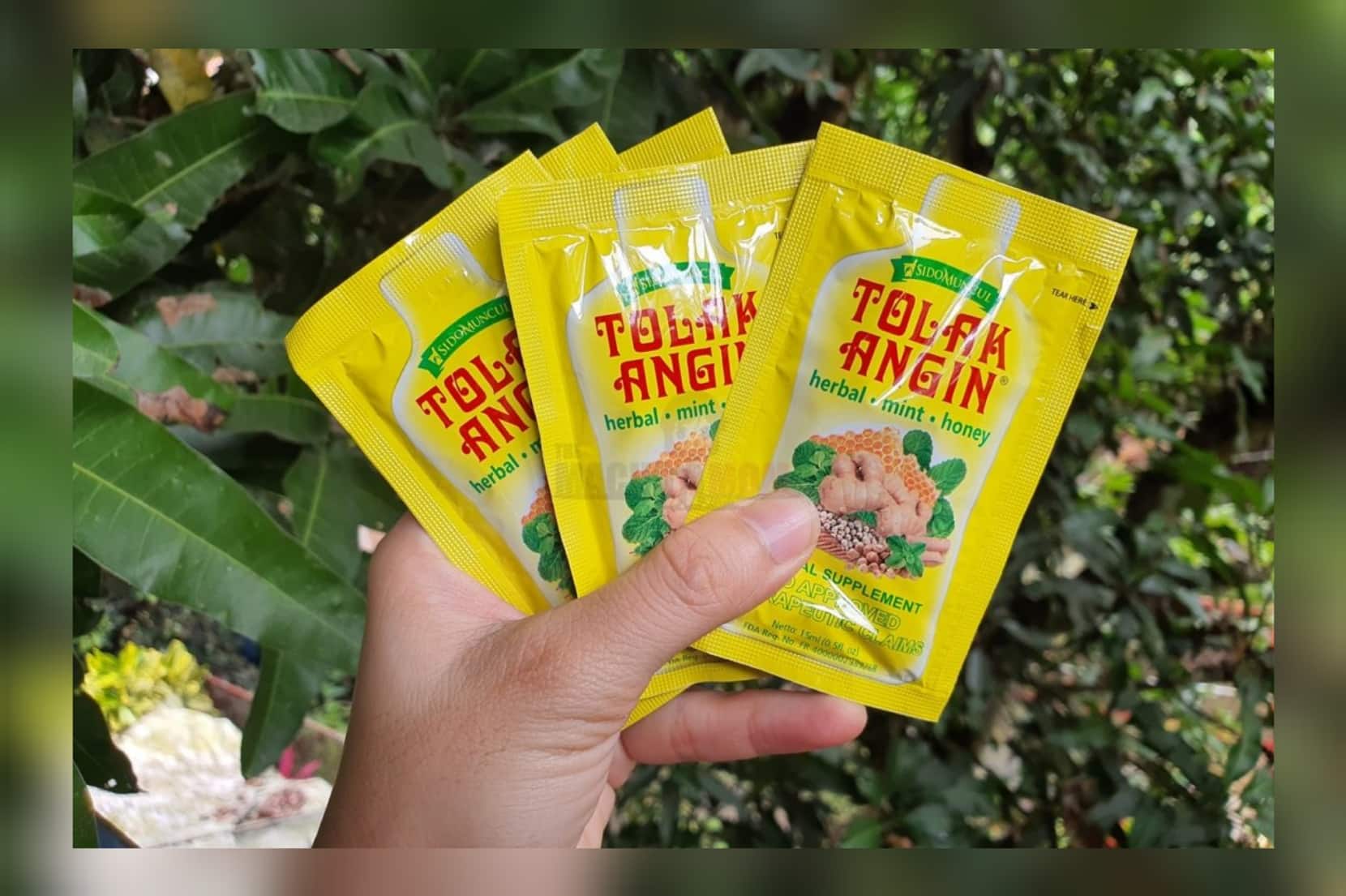 Tolak Angin starts all-out campaign | Inquirer Entertainment