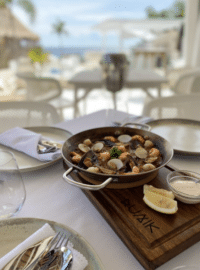 DJ Habe energizes Runik Beach Club, marks a milestone in Siquijor’s ...