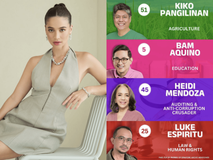 Anne Curtis includes Kiko, Bam, Heidi, Luke in her senatorial picks