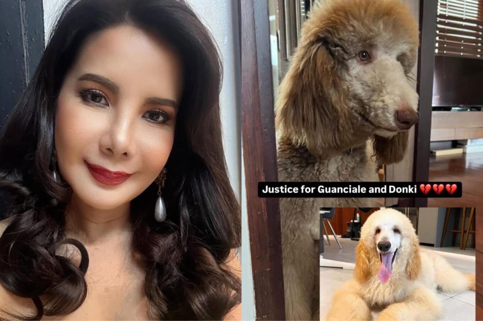 Carmi Martin calls for justice after dogs died at training facility