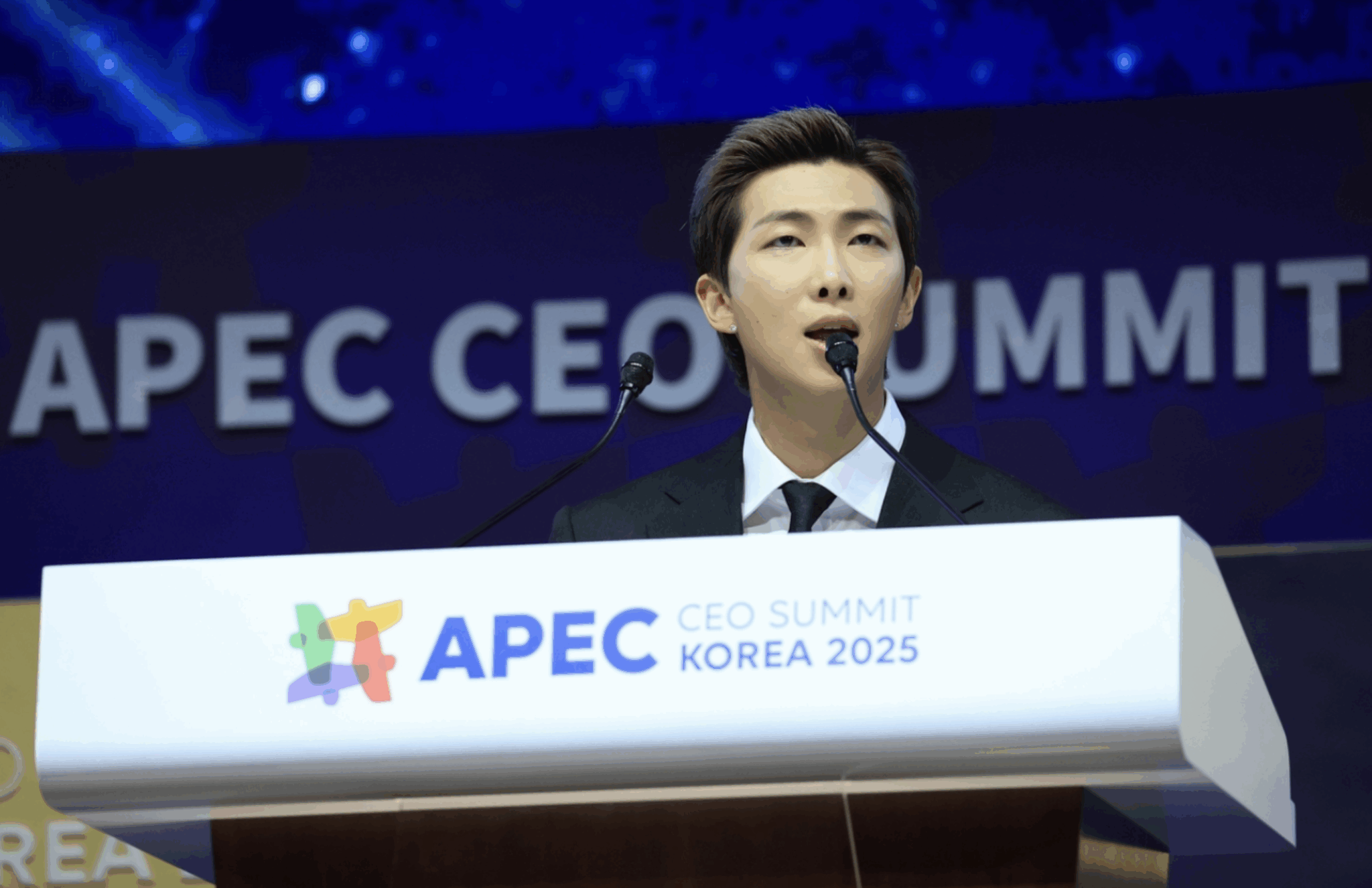 BTS' RM compares K-pop to 'bibimbap' at APEC speech